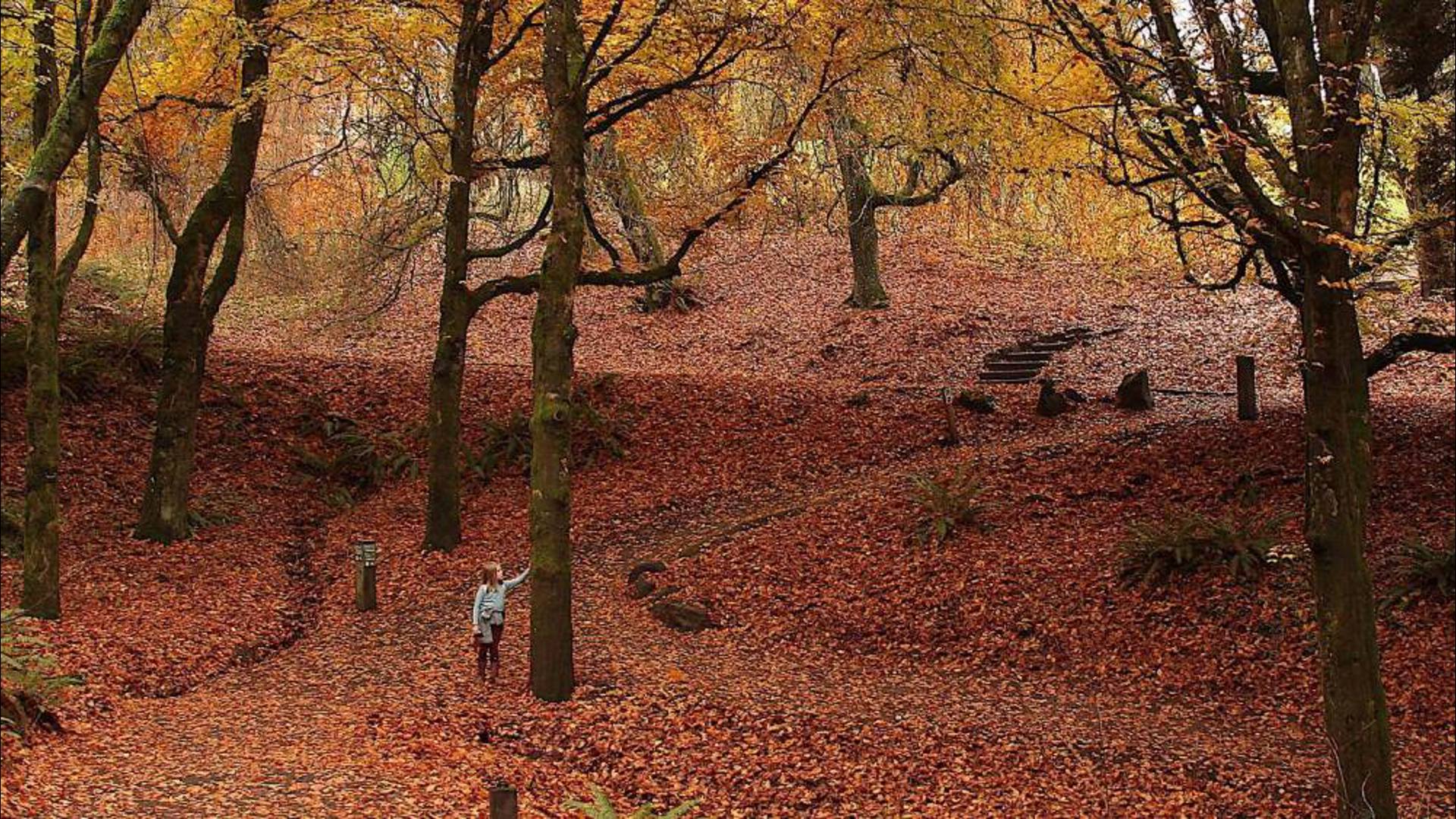 When does fall start in 2025? | wqad.com