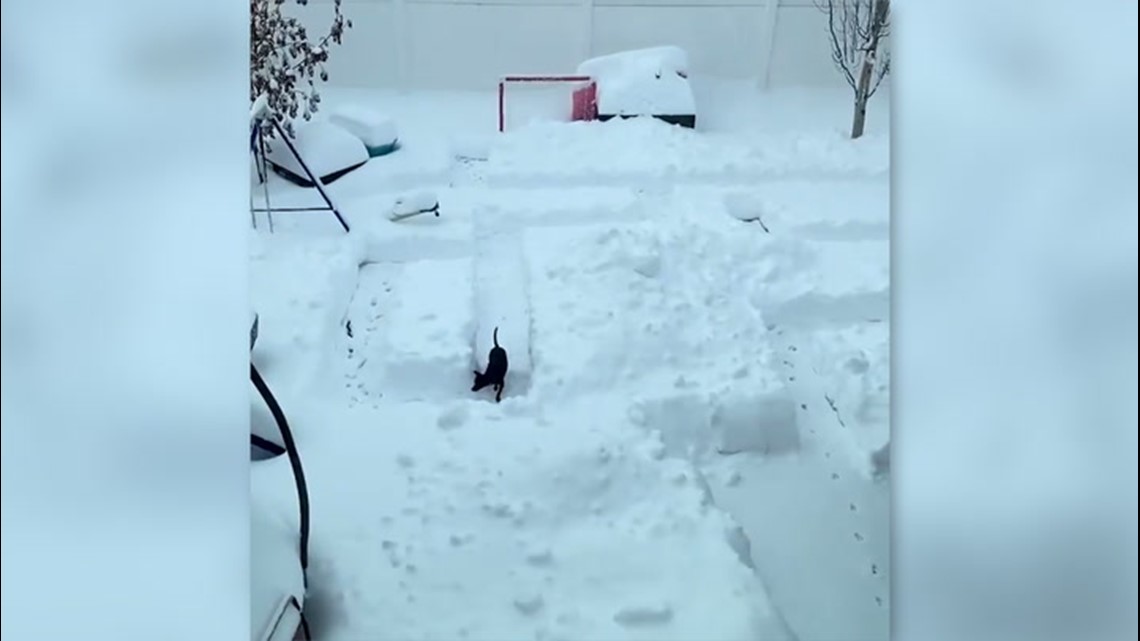 Snow turns Calgary into a winter wonderland | wthr.com