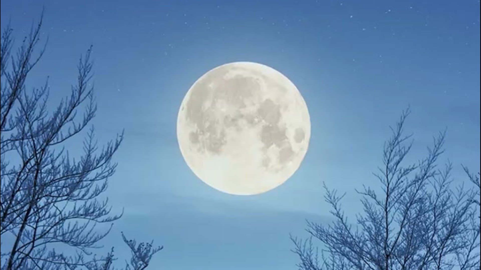 Worm moon: When to see 1st full moon of Spring light up the sky | fox43.com