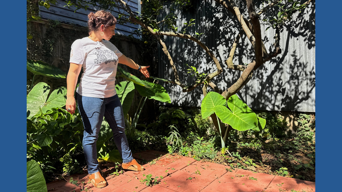 A long-lost ancient Roman artifact reappears in a New Orleans backyard ...