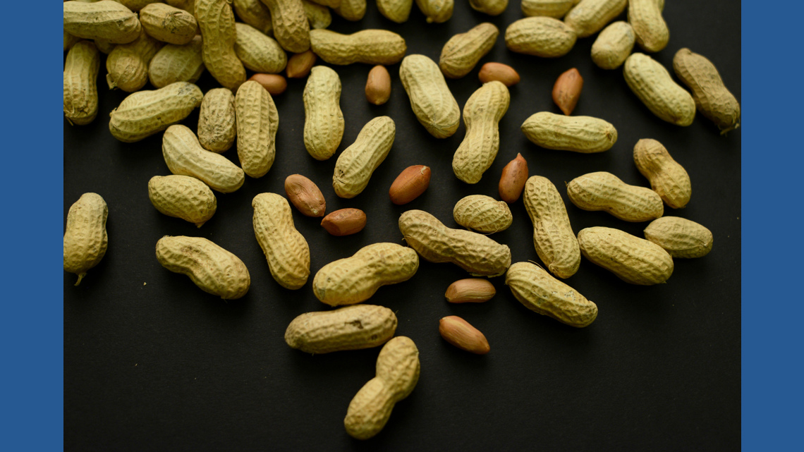 Advice to feed babies peanuts early and often helped thousands of kids ...