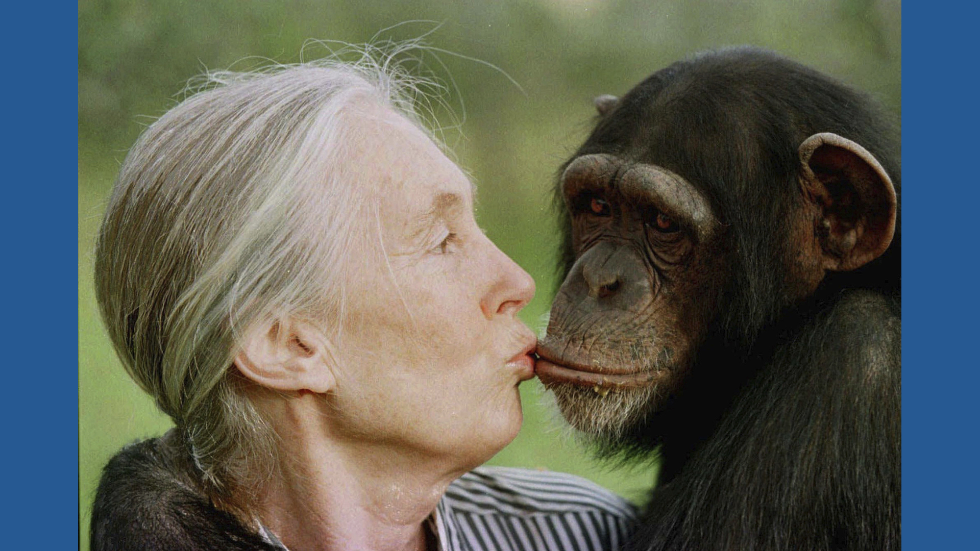 Dr. Jane Goodall, chimpanzee researcher and climate activist, dies at ...