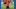 Spain star Lamine Yamal scores after 10 minutes of his first start at ...