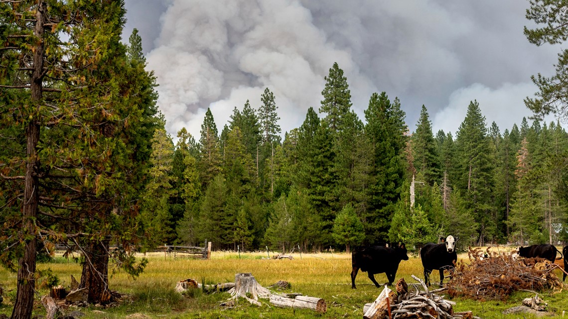 Hottest month ever: NOAA says Earth set sizzling record July 2021 ...