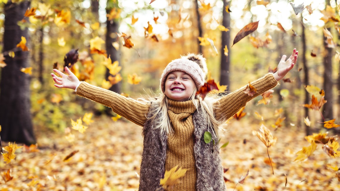 Is 53 the perfect fall temperature? | 5newsonline.com