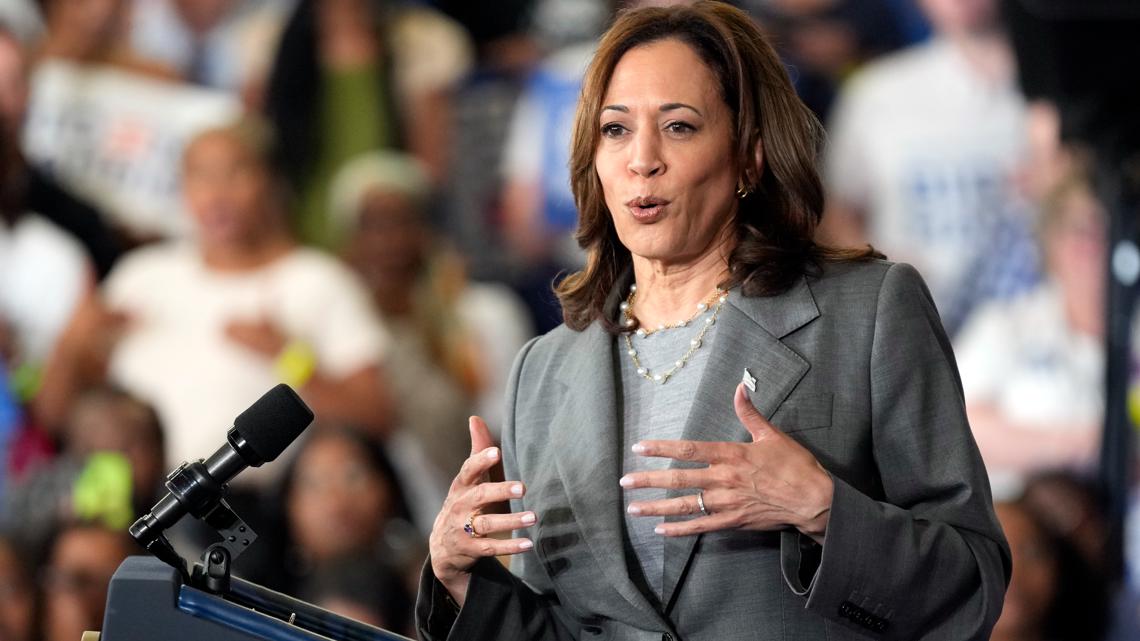 New poll shows majority of Democrats support Harris for president ...