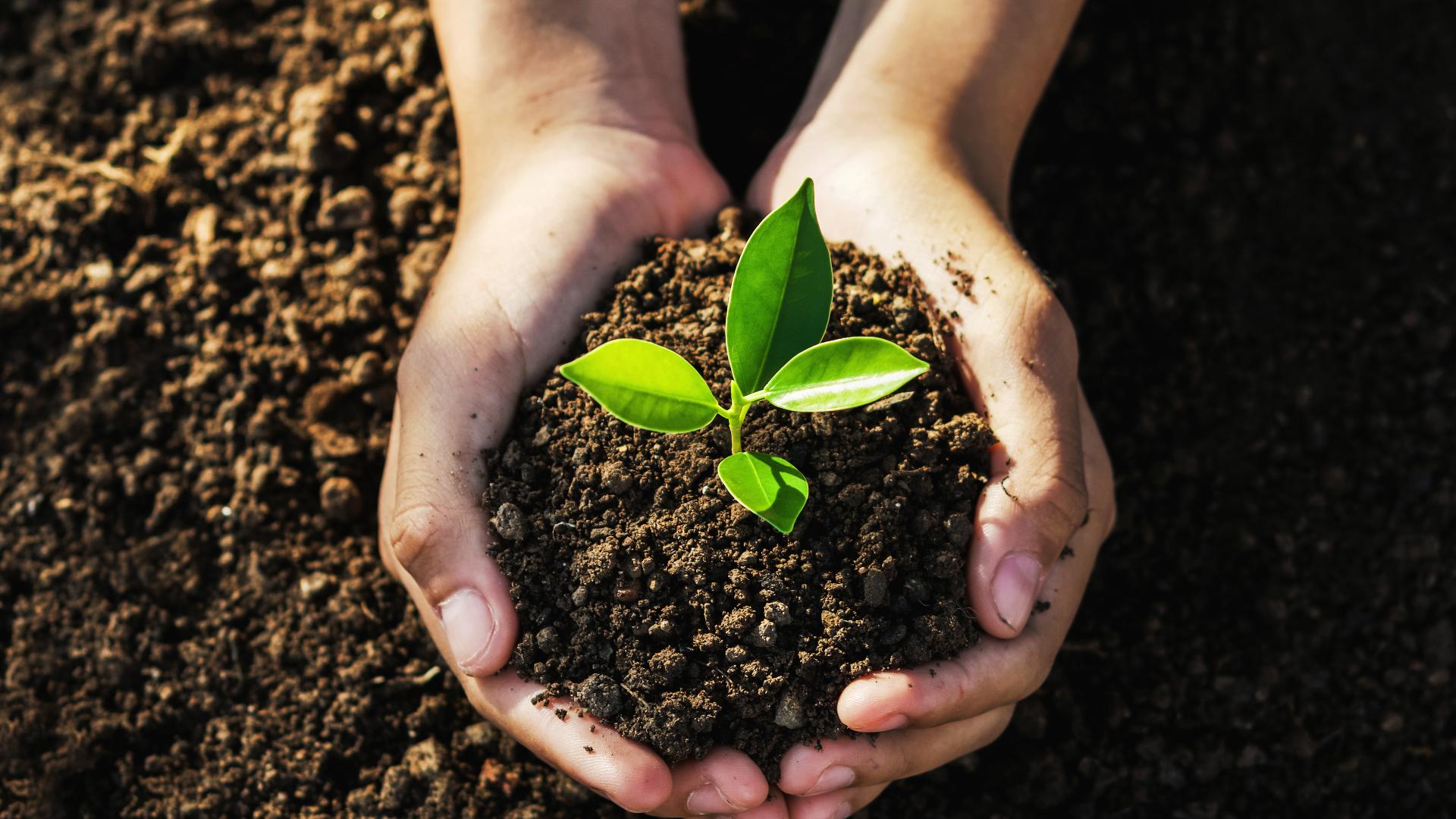 Why is Earth Day on April 22? | weareiowa.com