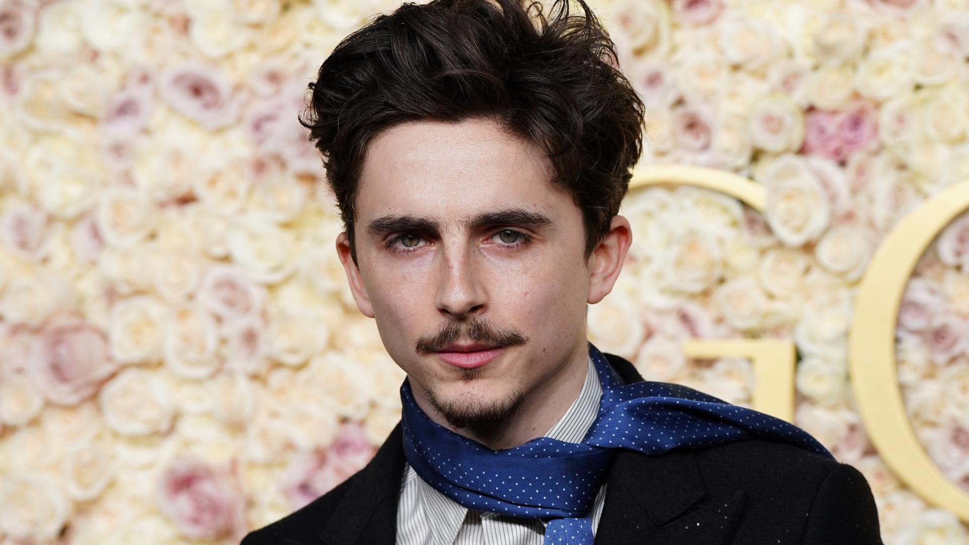 Timothée Chalamet will be host and musical guest on 'SNL' Jan. 25 ...