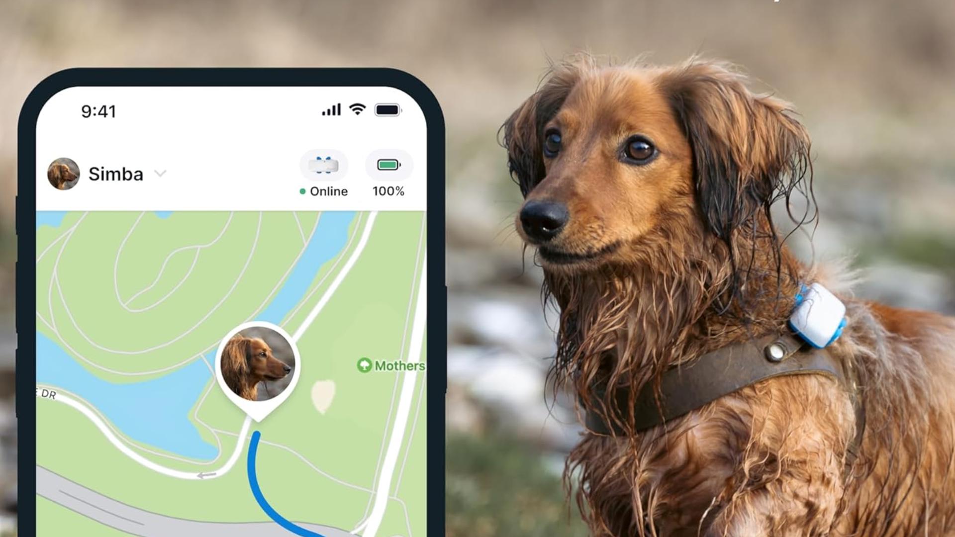 Tractive GPS Dog Tracker Black Friday 2024 | wthr.com