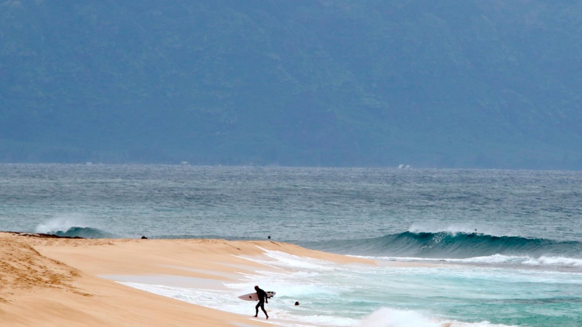 Shark bites surfer off Maui, man loses leg below the knee | wnep.com