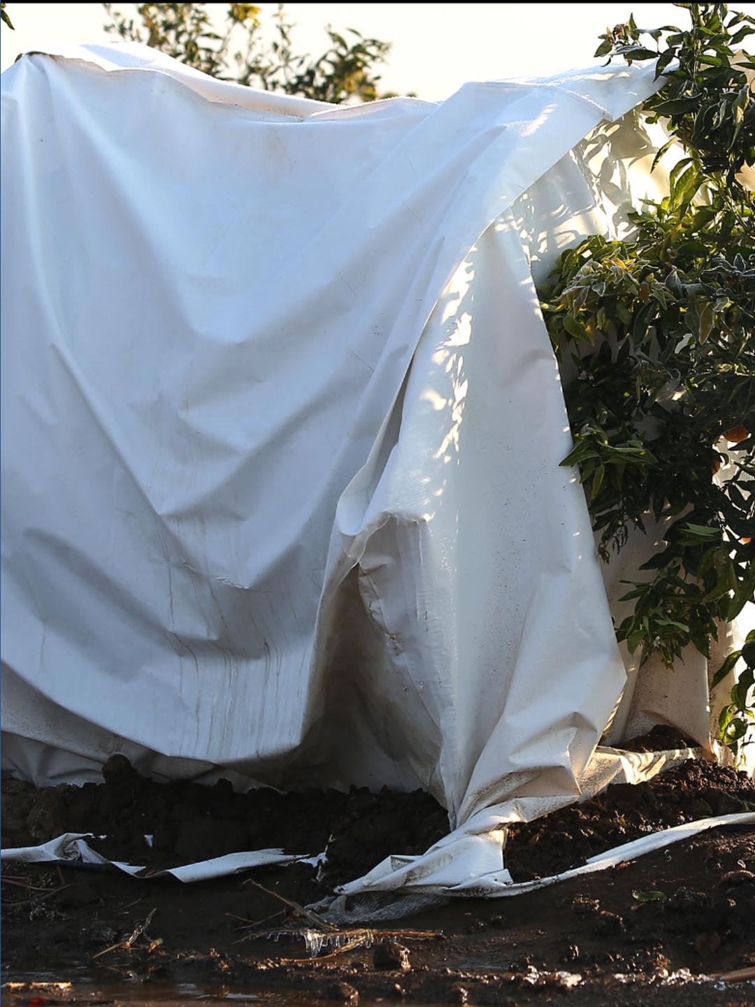 2026 fishing licenses, launch permits and gift vouchers now on sale: Here's what to know | fox43.com