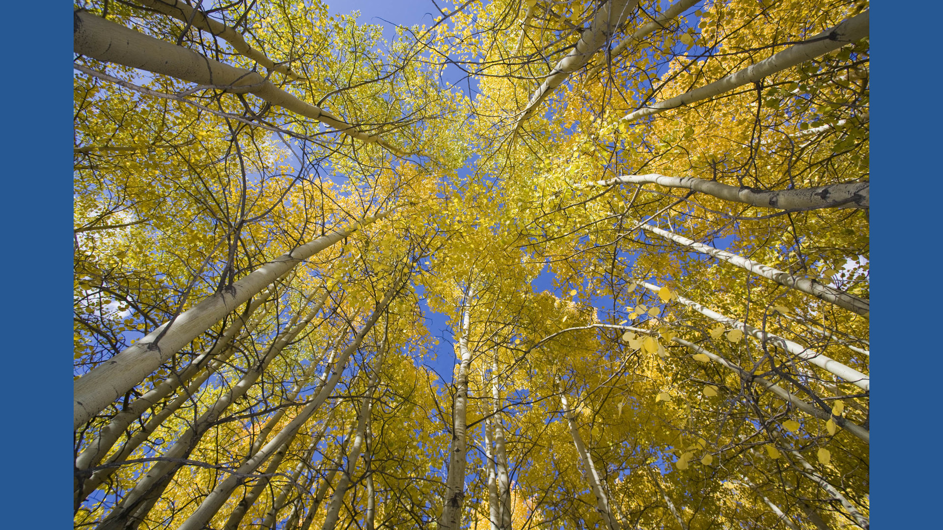 Why do fall skies appear bluer? | 5newsonline.com