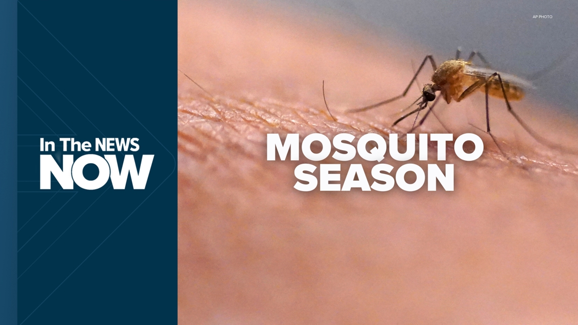 Mosquito season | In The News Now | wthr.com