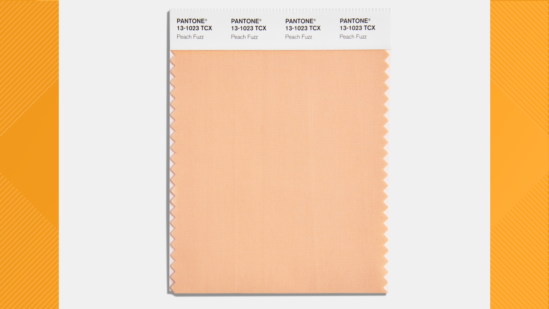 Peach Fuzz is Pantone Color of the Year for 2024 | wnep.com