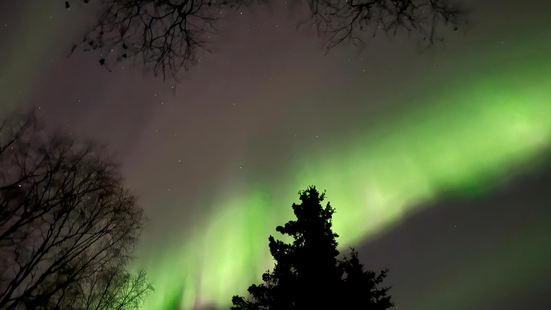 Northern lights could be on display across several states this week ...