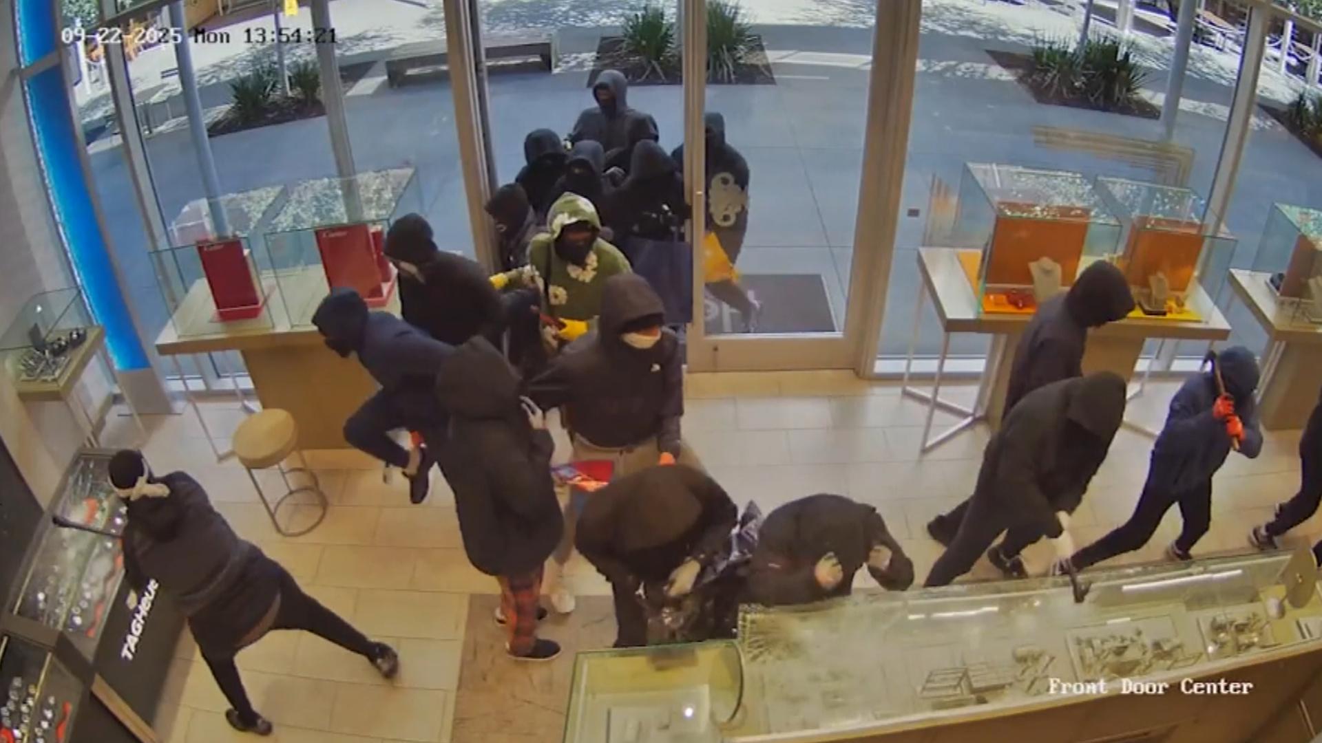 CAUGHT ON CAMERA: 20 people ransack California jewelry store in $1 ...