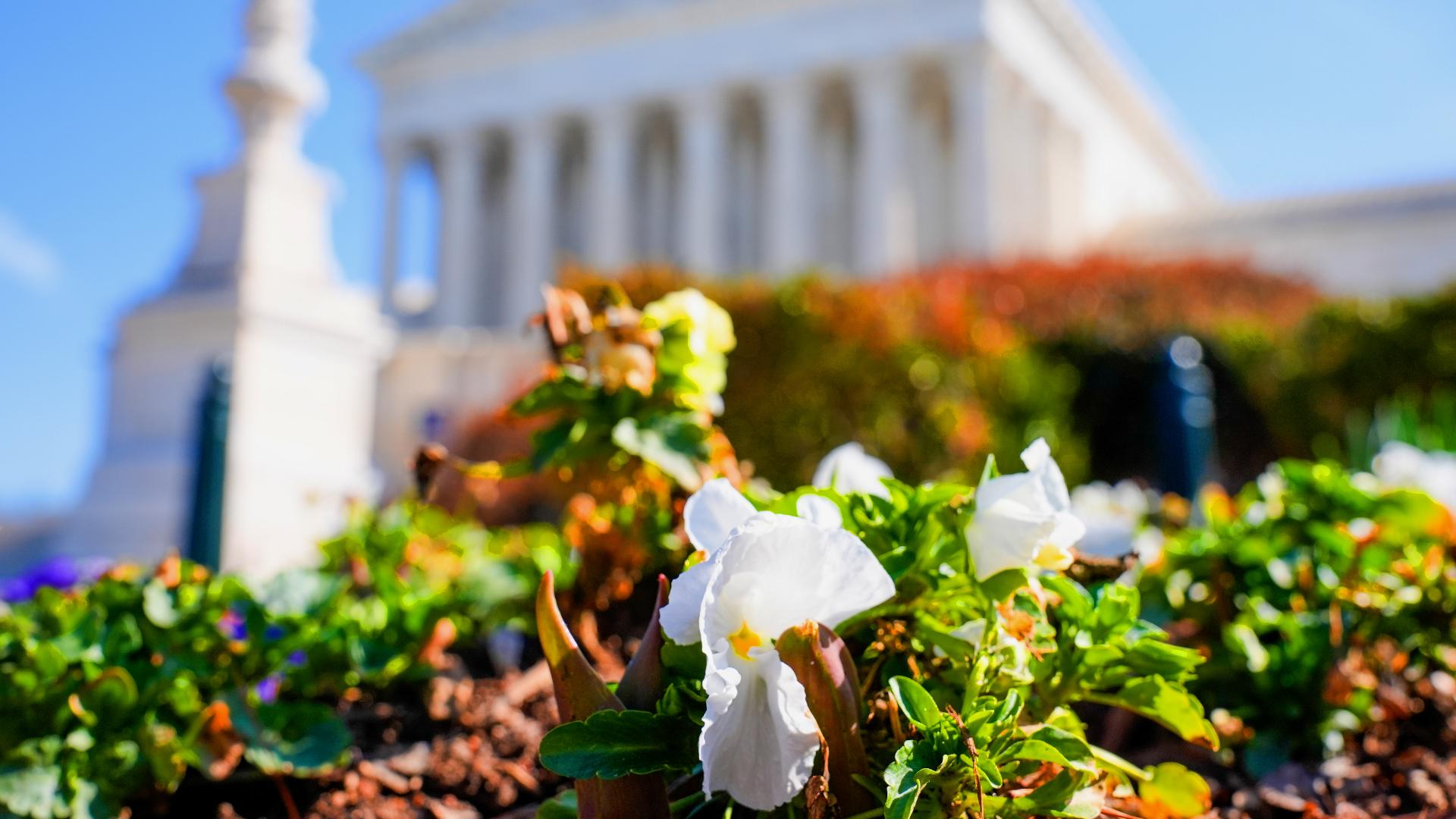 Is spring really — finally — here? What to know about Friday's vernal ...