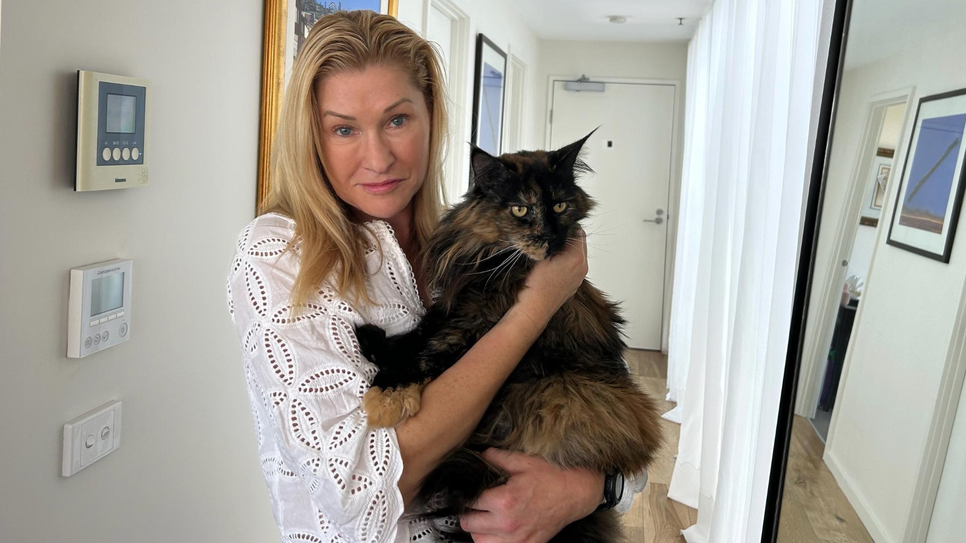 Mittens the cat is accidentally left on plane cargo hold, becomes ...