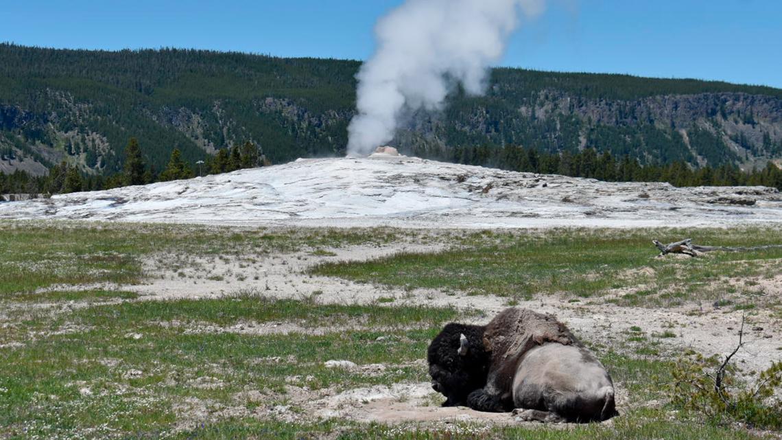 Yellowstone tourist suffers 3rd-degree burns after leaving trail | wnep.com
