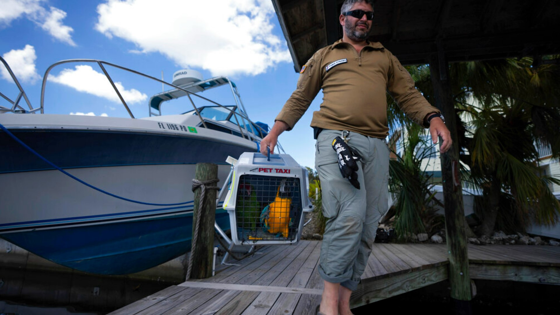 Rescuers flock to save parrots stranded by Ian | 10tv.com