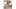 Meet the 2026 Gerber Baby: Minnesota infant wins nationwide photo ...