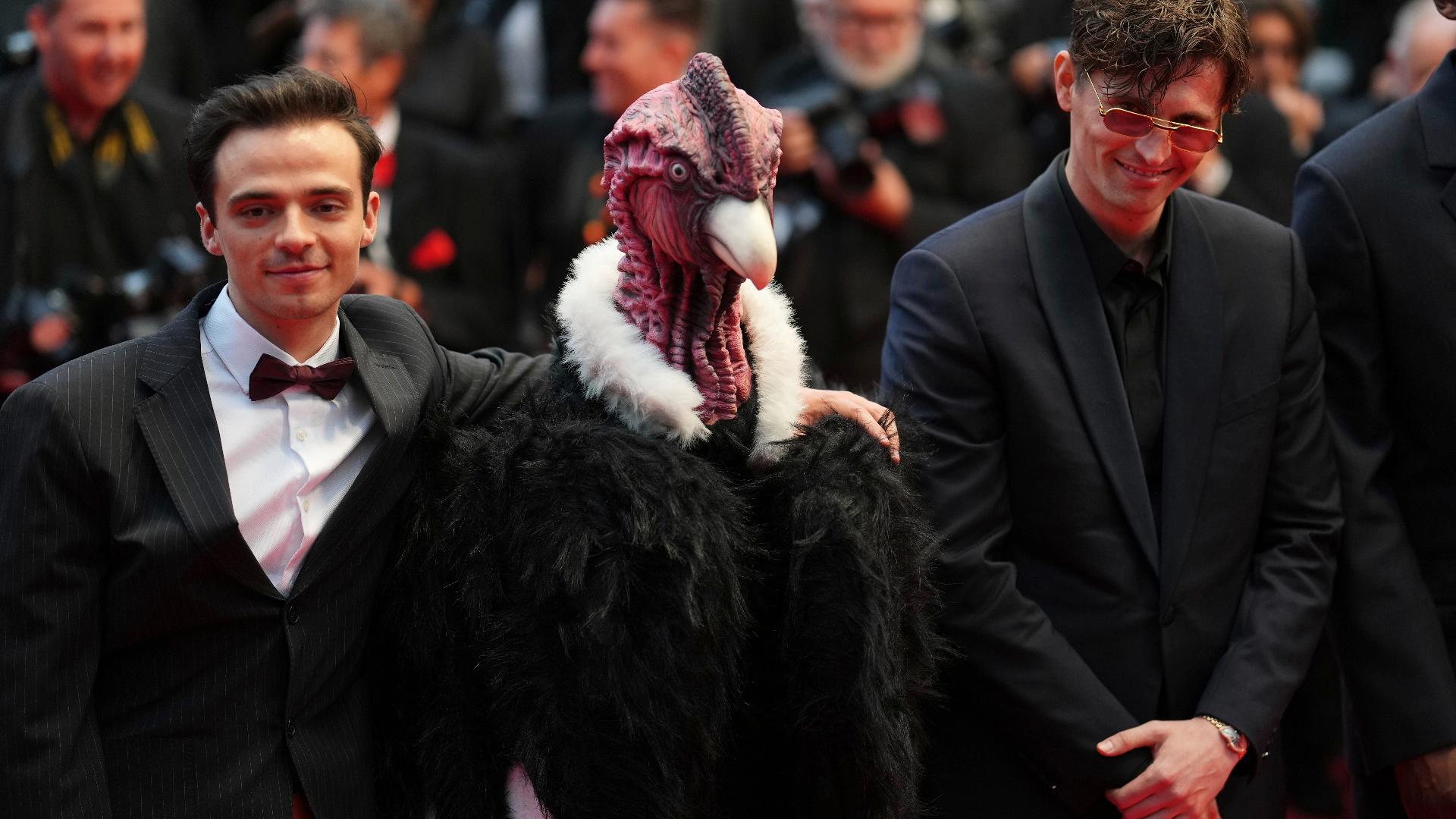 Condor man at the Cannes film festival: Why was a man dressed as a bird ...