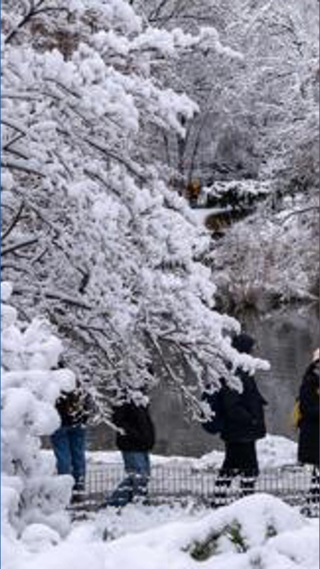 Columbus Traffic | Columbus, Ohio | 10tv.com