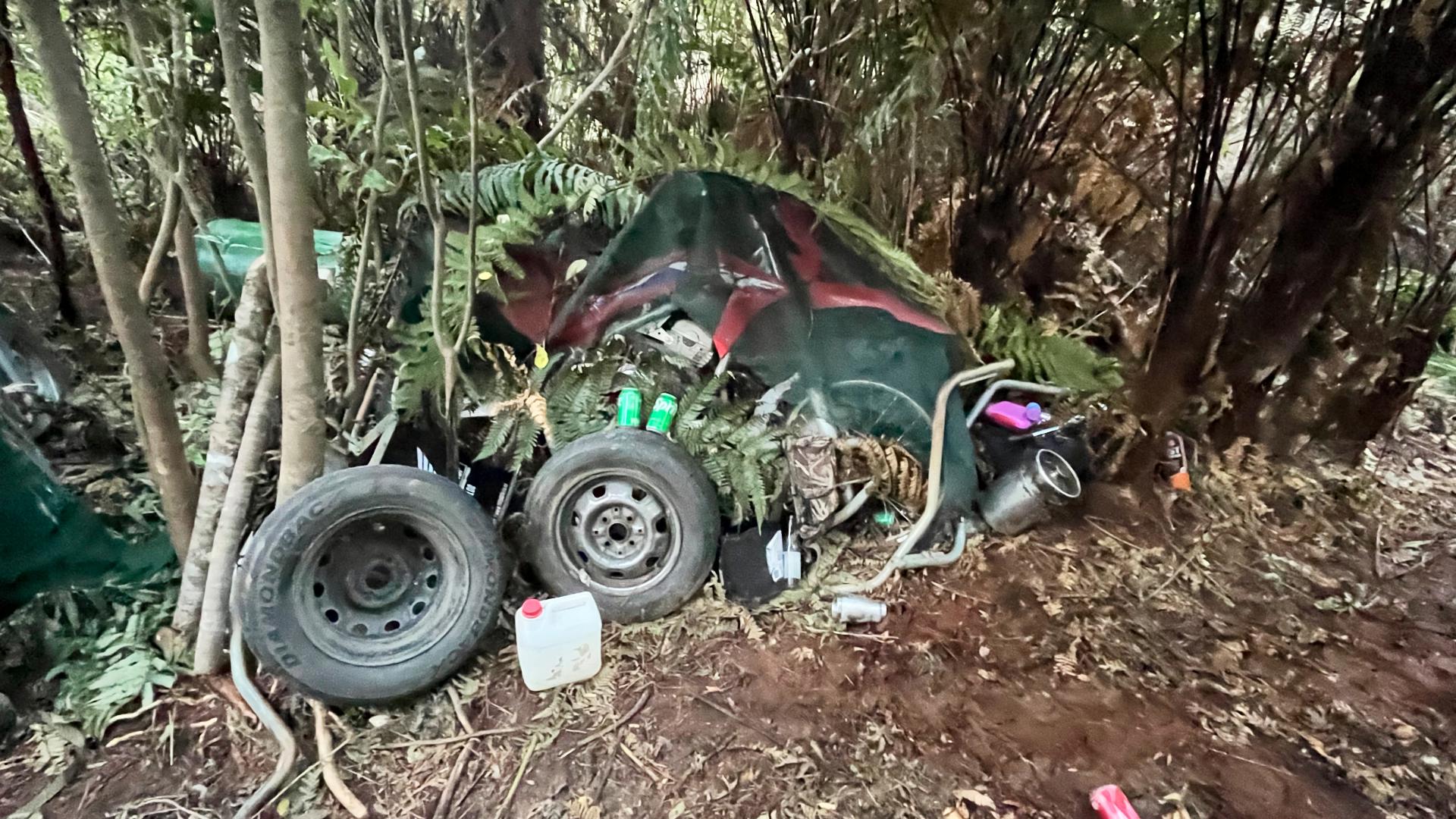 NZ fugitive Tom Phillips shot, children rescued from forest | wnep.com