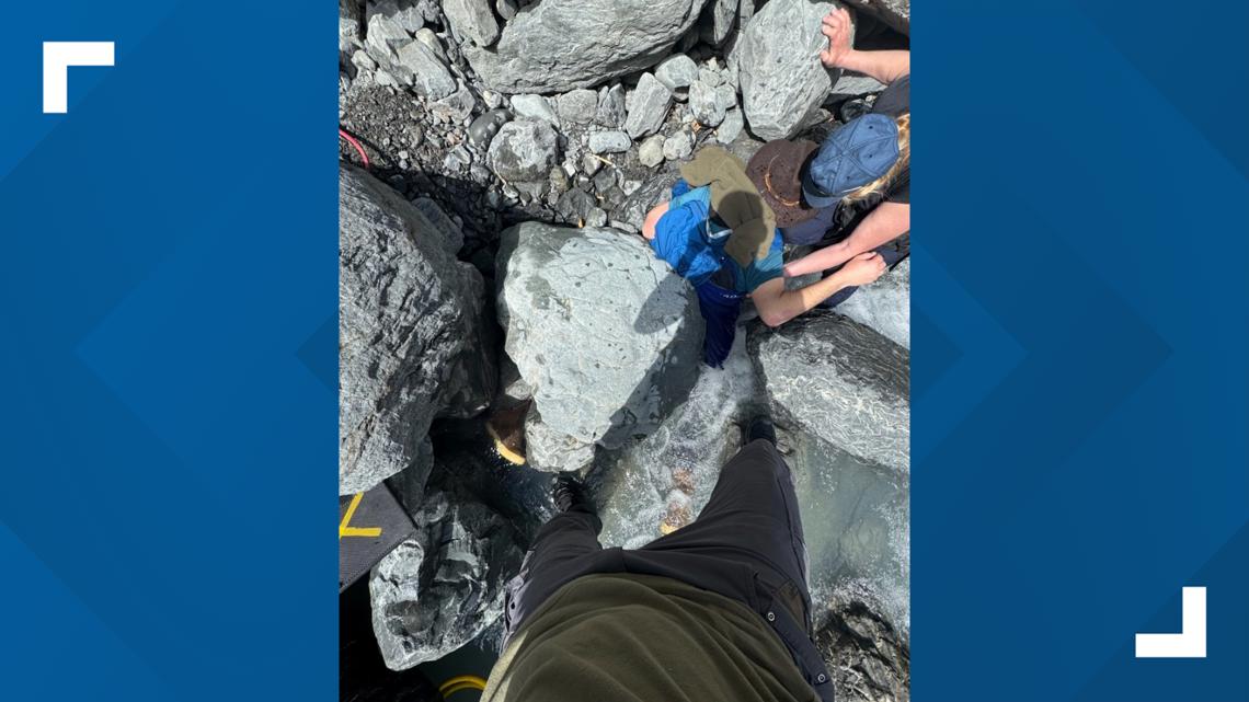 Alaska man survives being trapped face down in creek for hours by ...