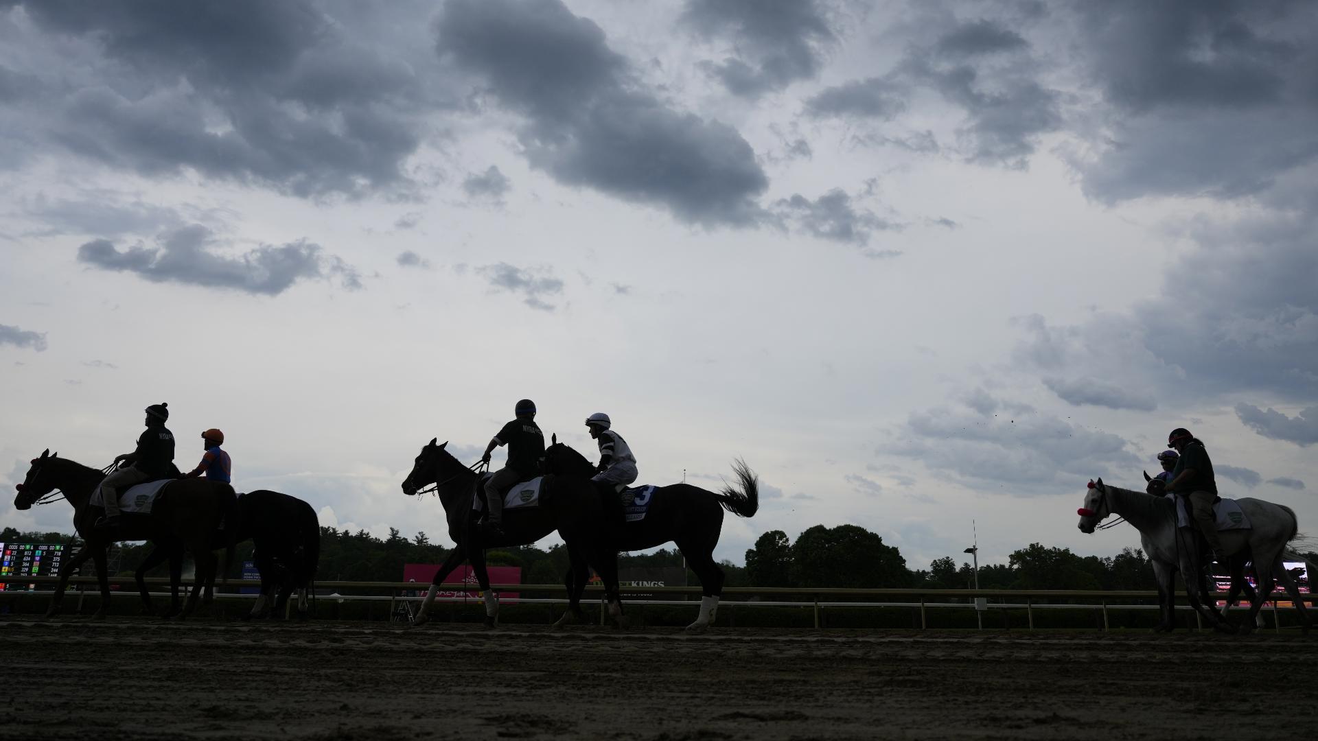 17 racehorses die in Saratoga Springs barn fire | fox61.com
