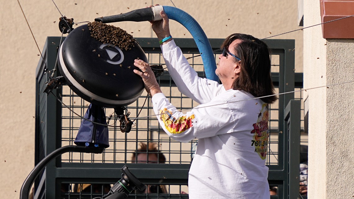 Swarm of bees cause delay of Carlos Alcaraz Indian Wells match | wthr.com