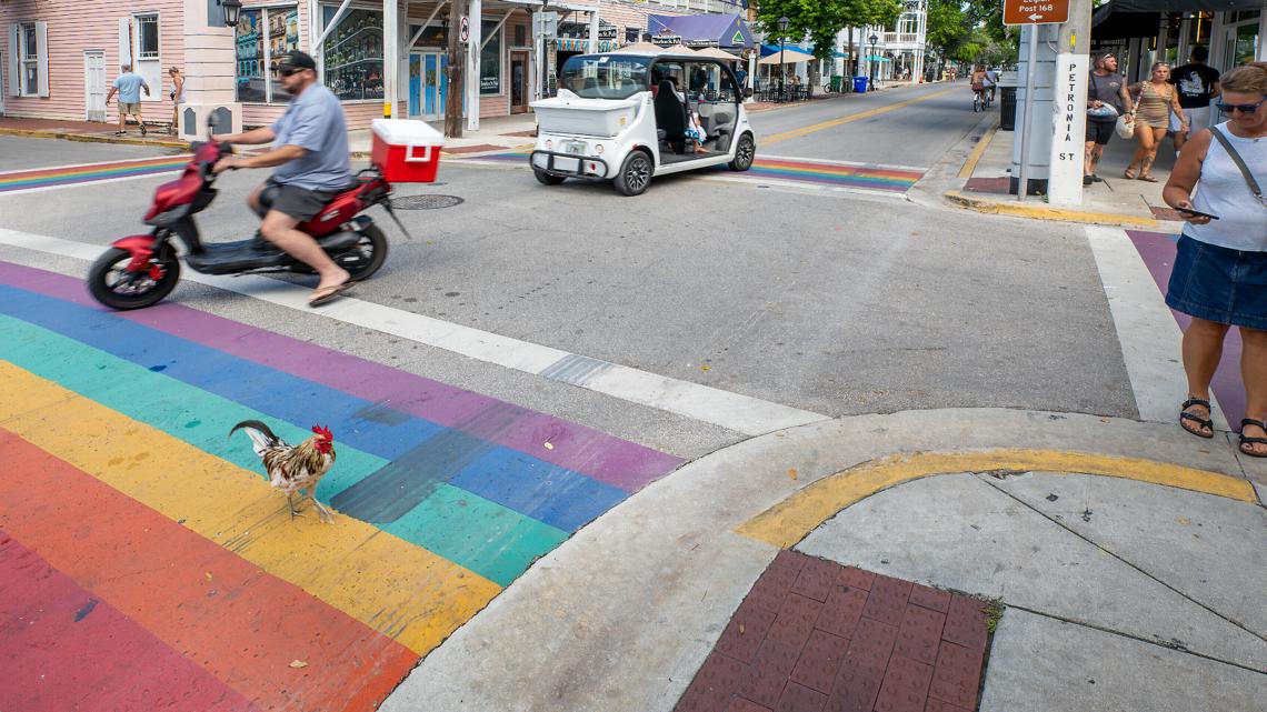 Florida cities face deadlines to remove rainbow crosswalks | fox61.com