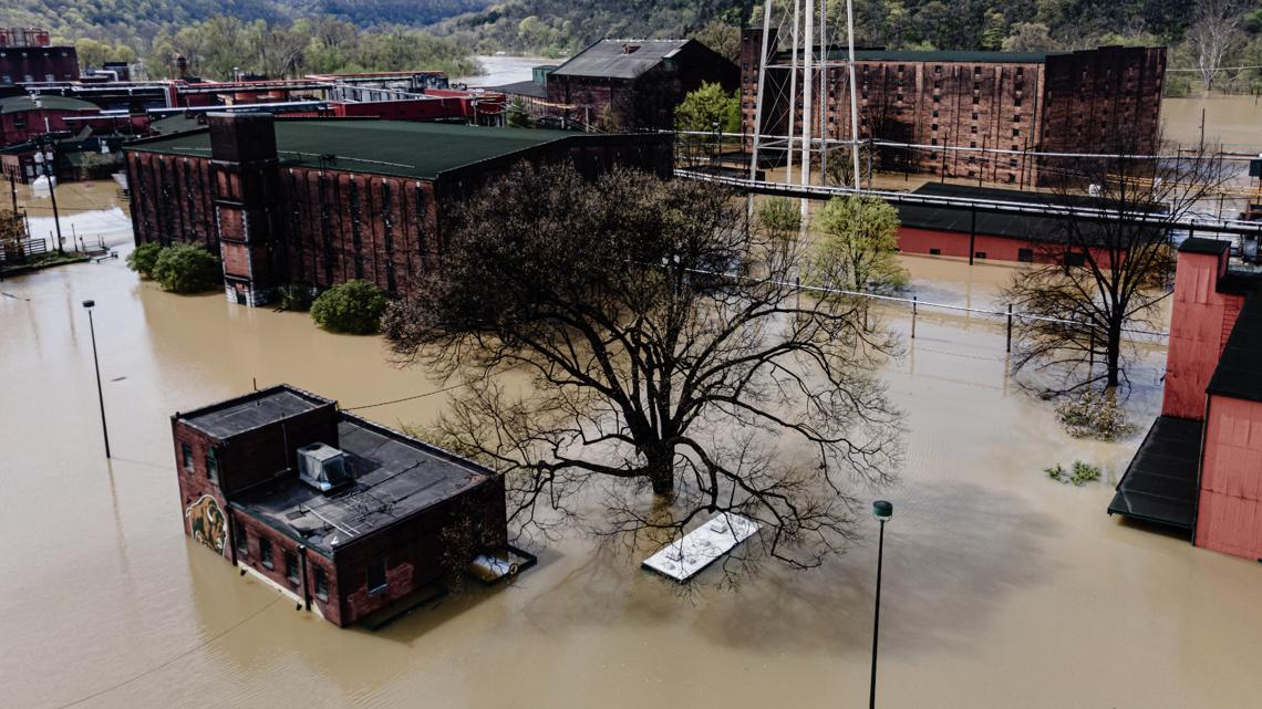 Molly Rawn elected Fayetteville mayor. | 5newsonline.com