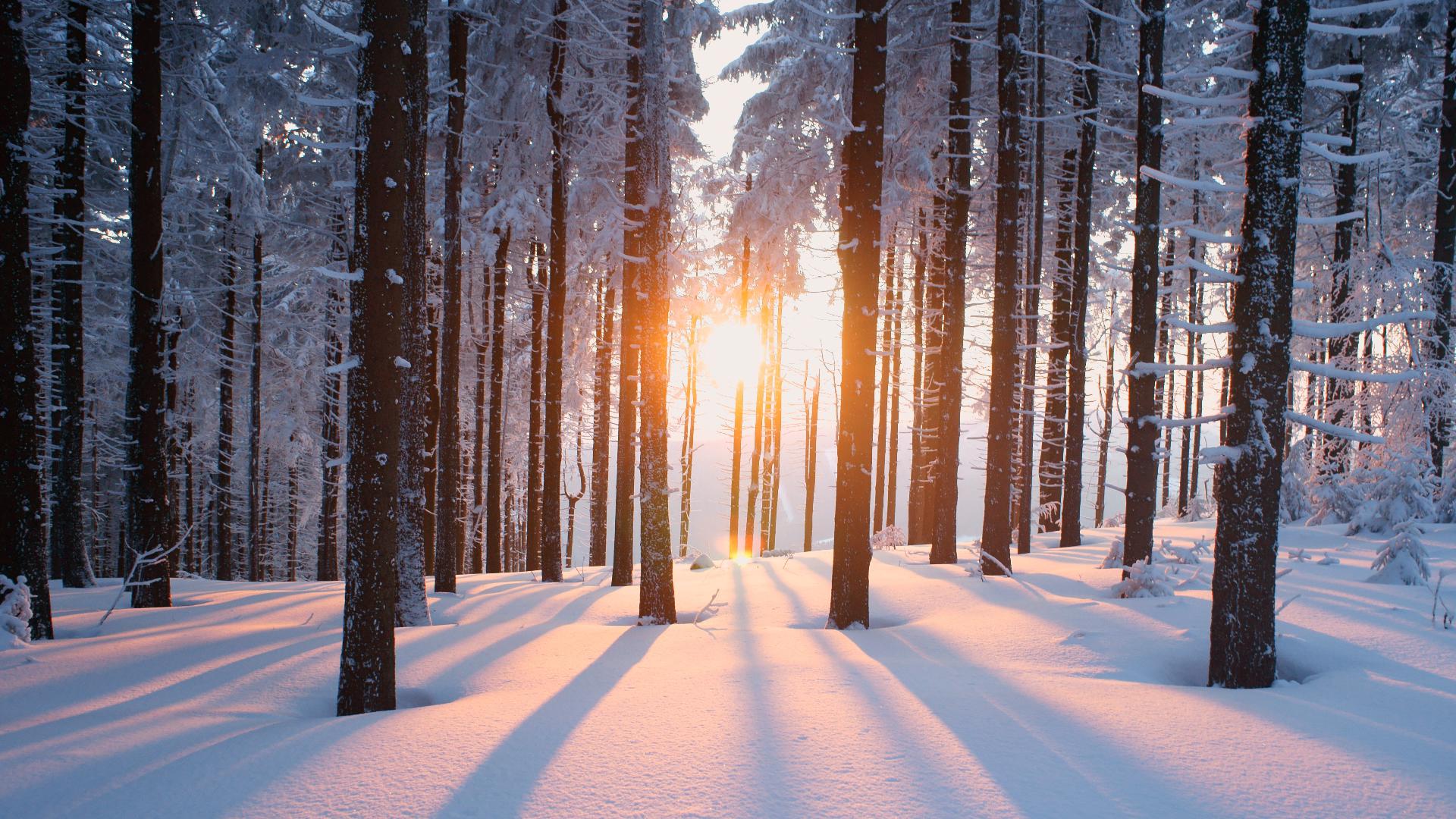 Winter solstice 2025: What it means and why it's the shortest day of ...