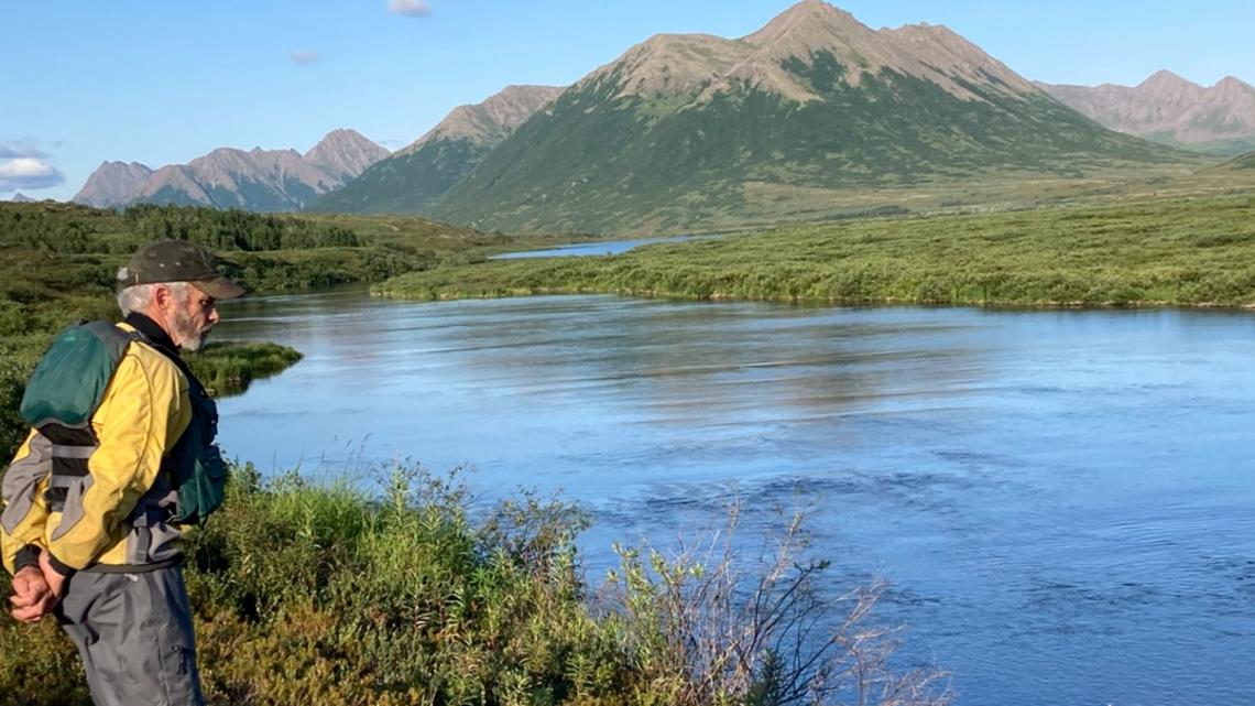 Family says Alaska photographer killed in moose attack knew risks ...