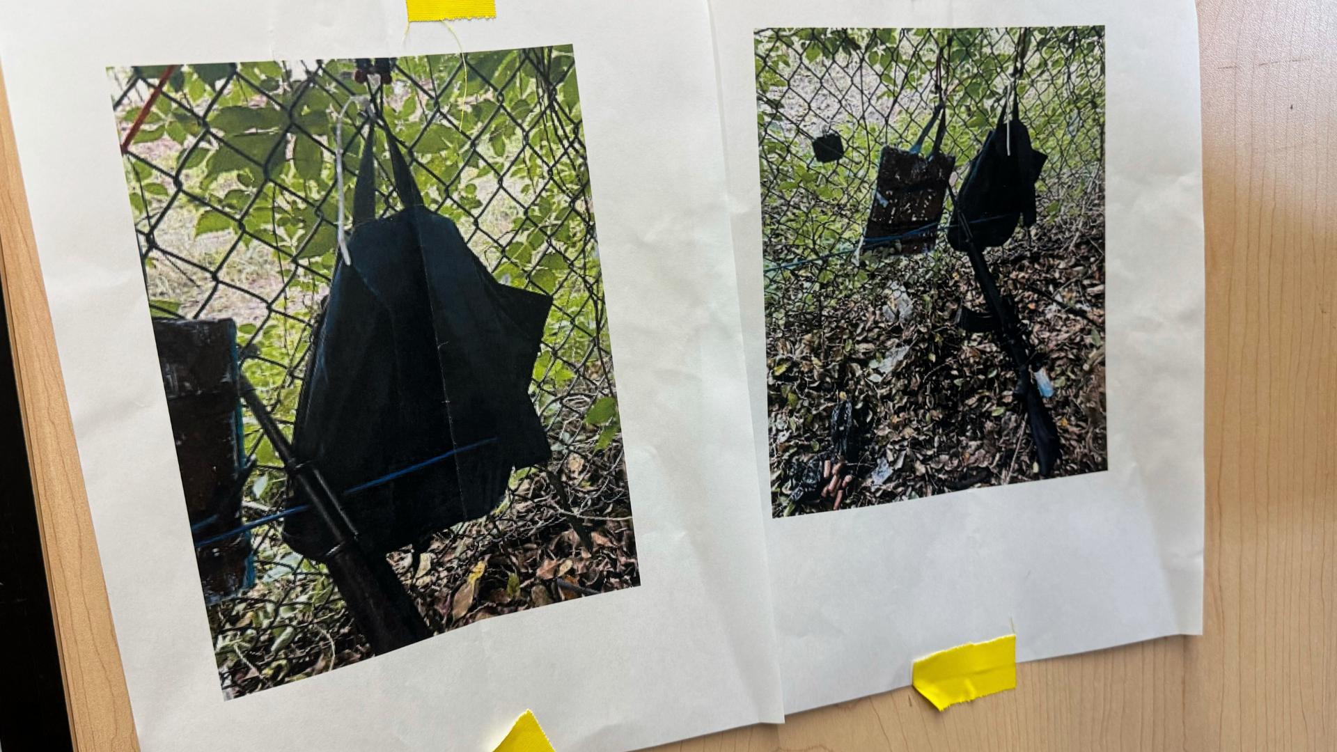 Trump safe after apparent assassination attempt in Florida: FBI | fox43.com