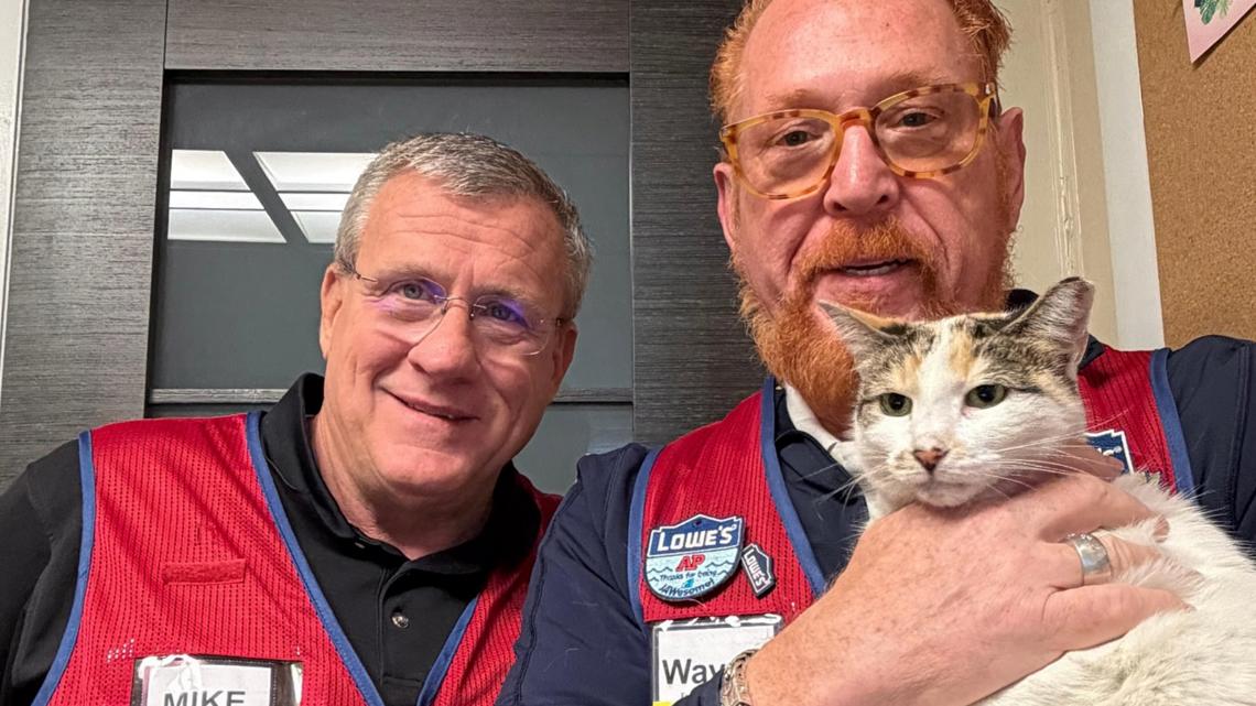 Richmond's beloved cat Francine found after 2 weeks, 85 miles away | wnep.com