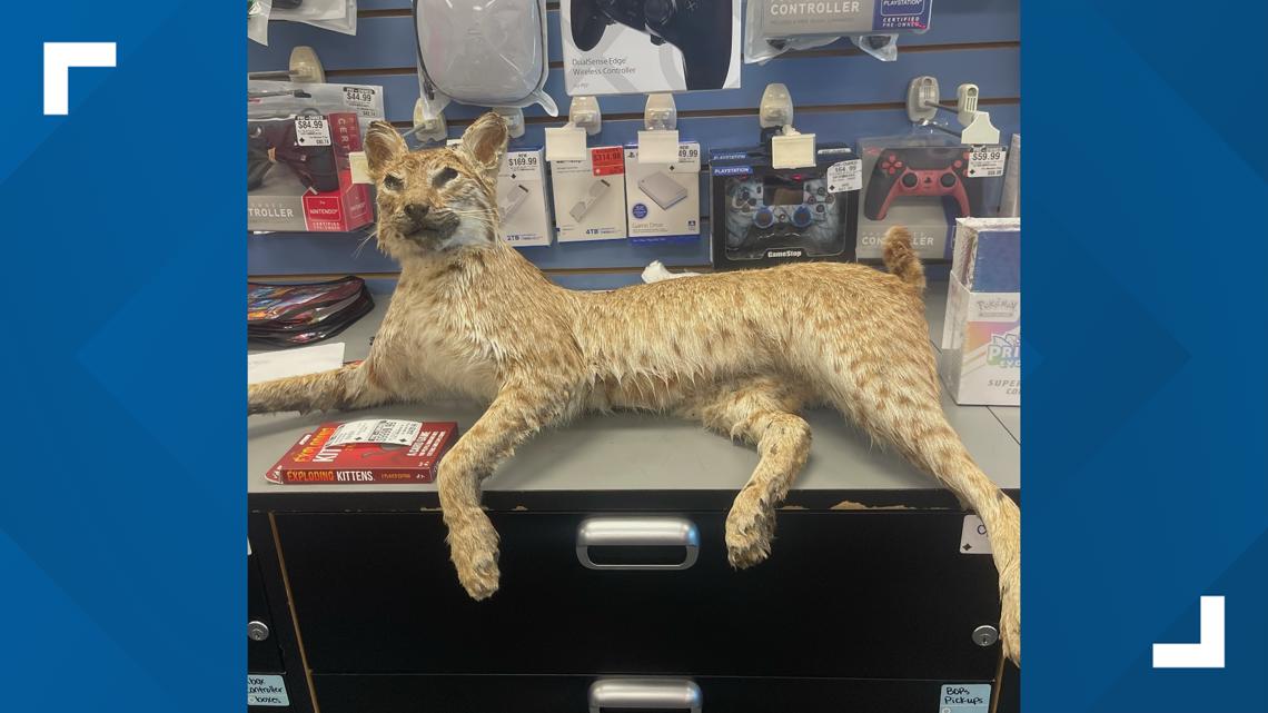 GameStop got over 80,000 items during 'Trade Anything Day.' Here are ...