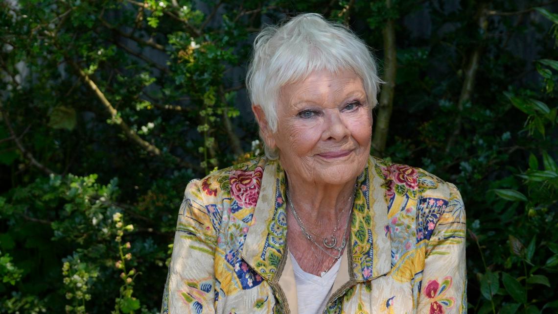 Judi Dench says vision loss now prevents her from recognizing people ...