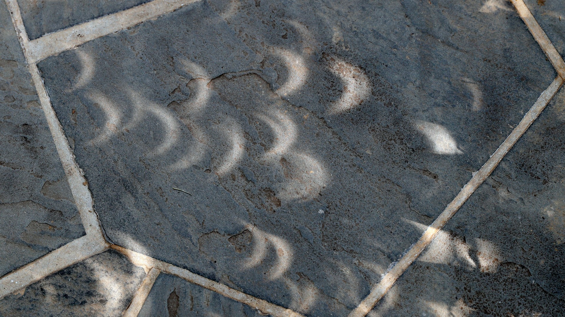 13 Investigates WTHR Station 13 in Indianapolis, Indiana | wthr.com