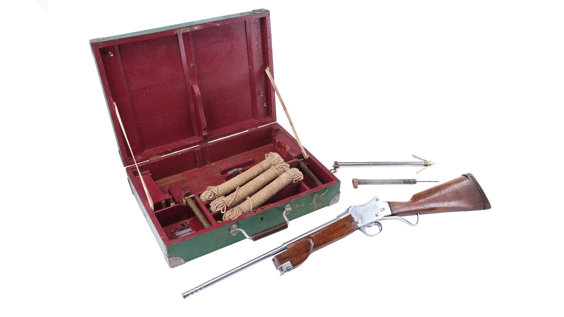 Rare 'Jaws' props resurface after decades in new auction | 5newsonline.com