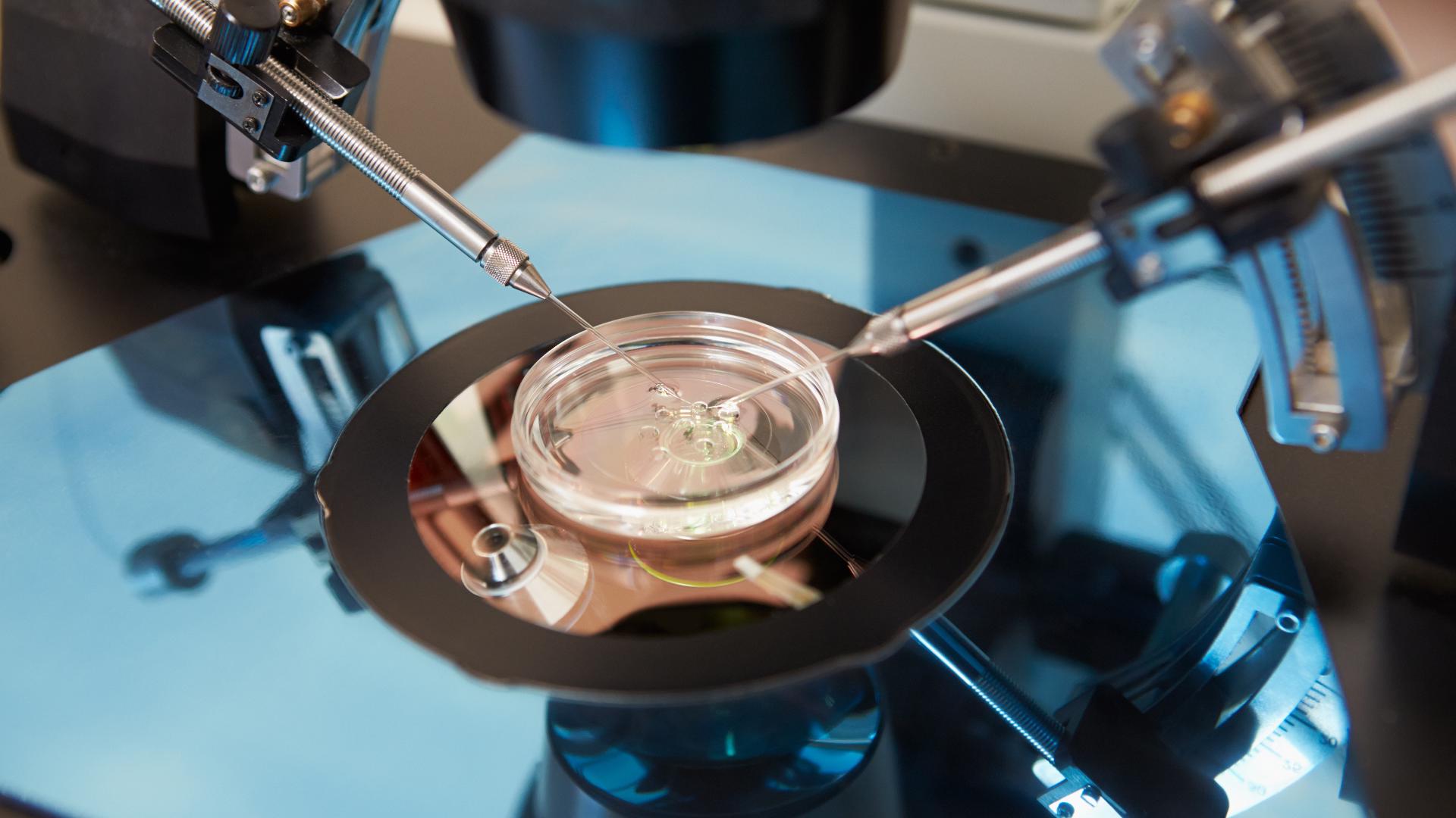 Florida couple will keep custody of child after IVF mix-up | 10tv.com