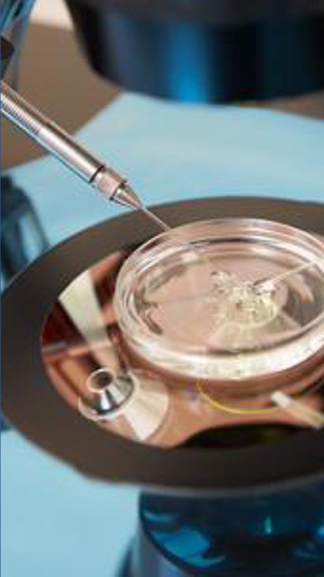 Florida couple will keep custody of child after IVF mix-up | wnep.com