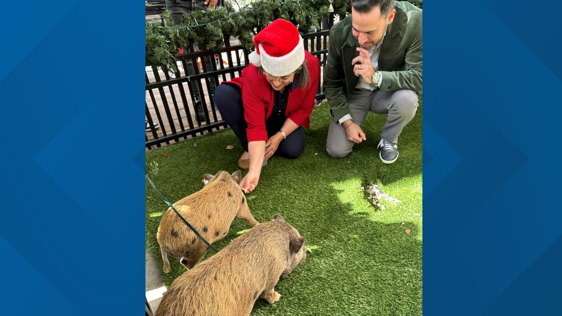 Florida mayor pardons two piglets named after 'Wicked' characters ...