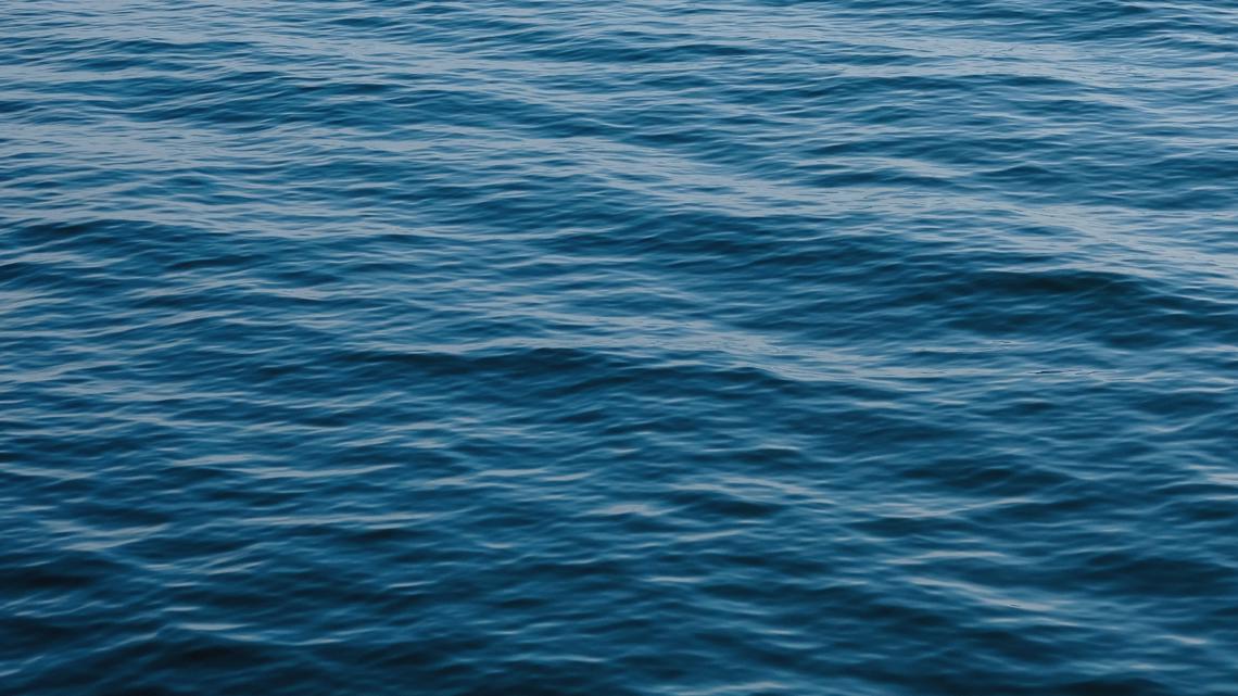 Rare black seadevil anglerfish filmed near surface for first time ...