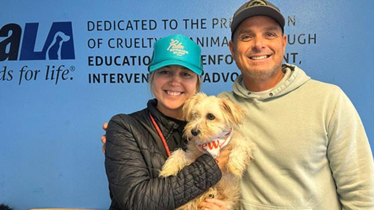 California police officer adopts puppy he helped save from trash ...