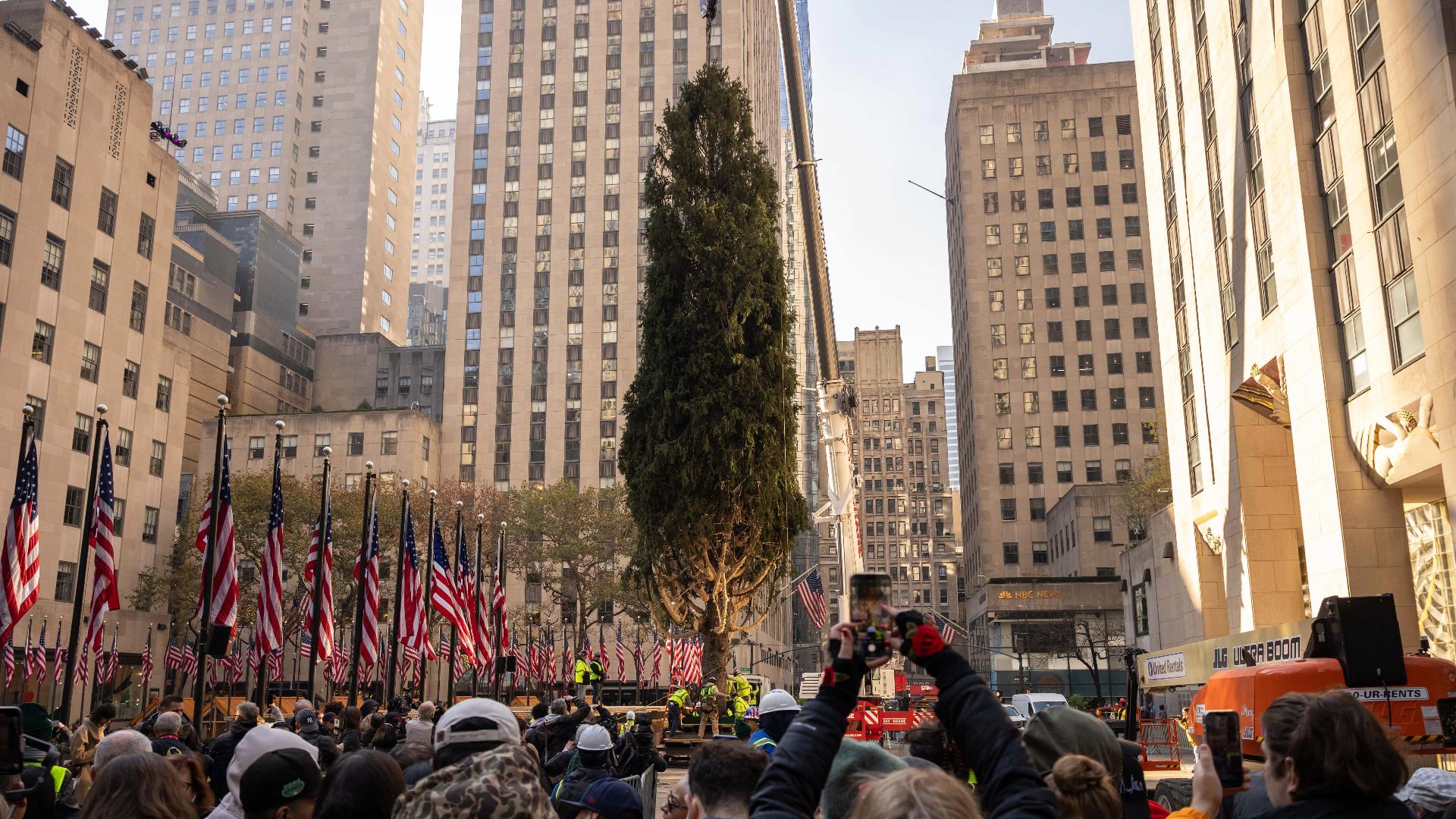 Rockefeller Center's Christmas tree arrives in NYC | fox43.com