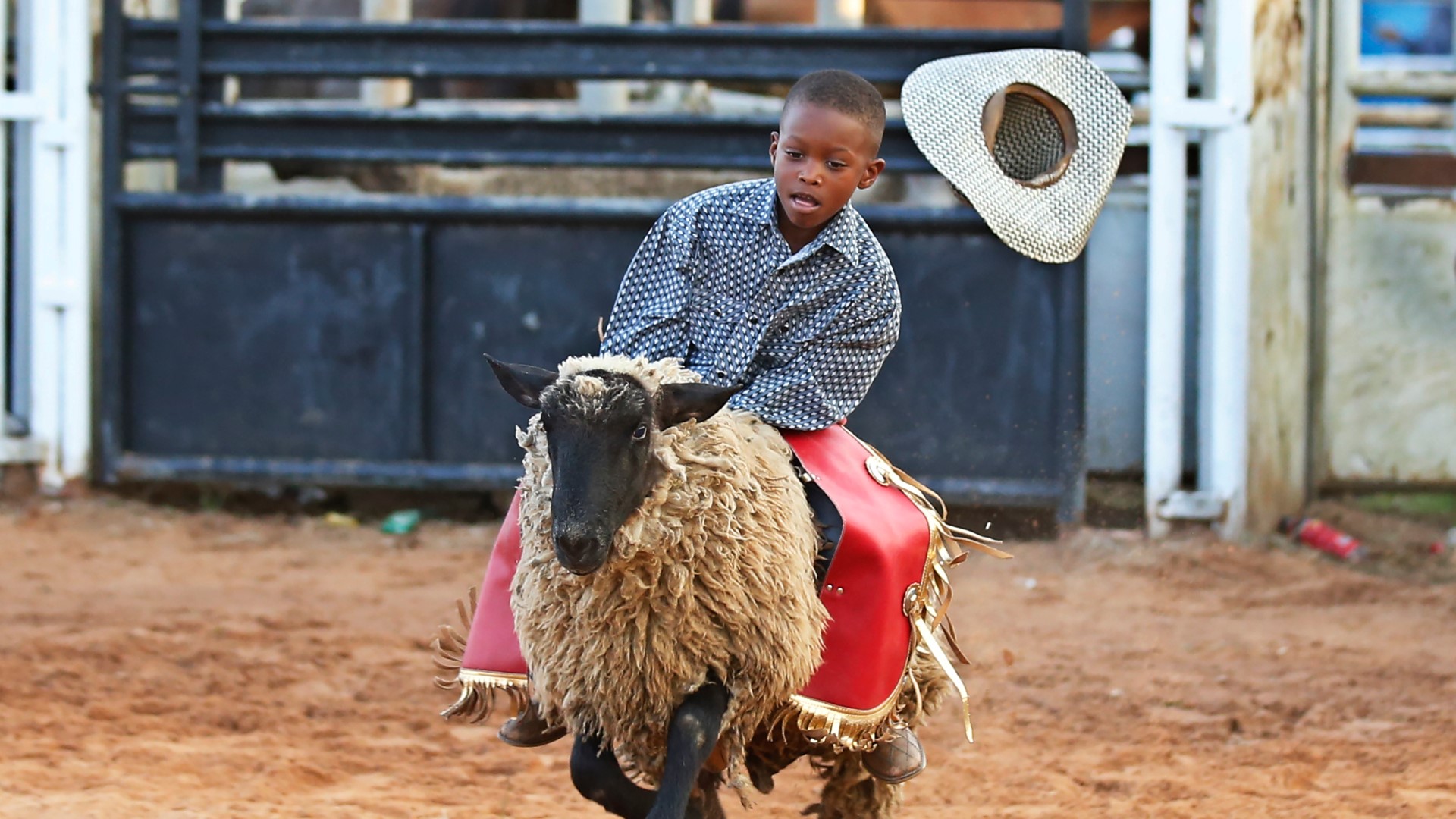 Oklahoma Black rodeo, longest-running in US, rides despite virus ...
