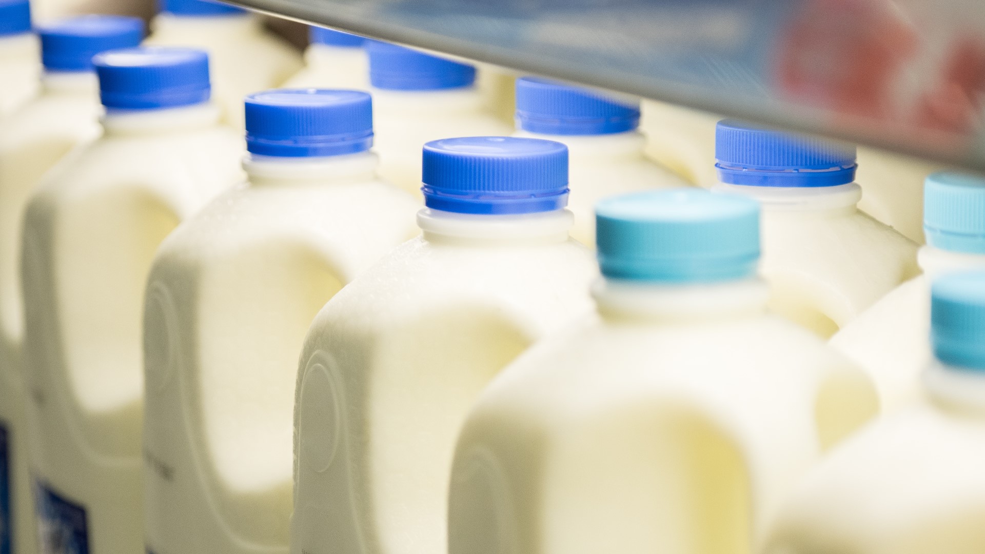 New developments in Arkansas raw milk bill | 5newsonline.com