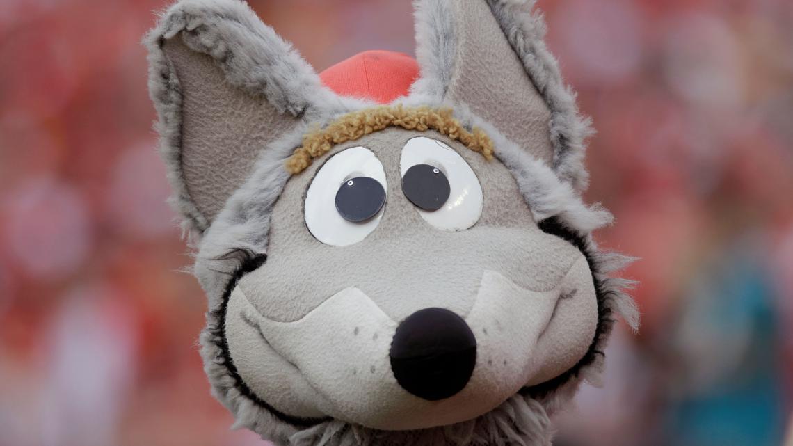Why is the Kansas City Chiefs mascot a gray wolf? | wthr.com